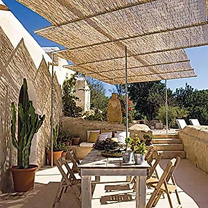 Backyard X-Scapes Natural Reed Fencing Decorative Fence for Backyard Garden Fencing Divider 4 ft H x 8 ft L
