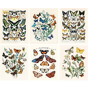 ARTIVO Vintage Butterfly Art Prints 6 Set 8x10, Butterflies Vintage Poster Prints, Cottagecore Aesthetic Decor, Vintage Wall Collage, Wall Art Posters, Vintage Nature Posters