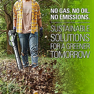 Greenworks 80V (150 MPH / 500 CFM / 75+ Compatible Tools) Cordless Axial Leaf Blower, 2.0Ah Battery and Charger Included