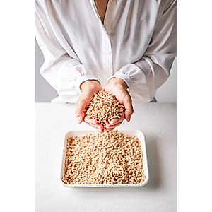 KOCHO Hinoki Wood Cat Litter, Upcycled, Ultra Lightweight, Natural Aroma of Hinoki Japanese Cypress, Gentle Clumping, Dust-Free