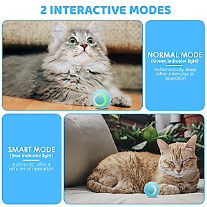 Pakoo Interactive Cat Toys Ball with LED Lights, Smart 360° Automatic Rolling Kitten Toys with Type-C Charge, Best Gift for Your Cat/Kitty