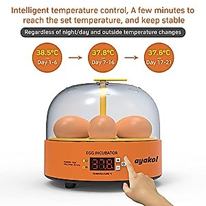 ayakol Small 6 Egg Incubator with External Lever Egg Turner,Temperature Control, Humidity Control, Led Candler, Hatcher for Chicken Duck Pigeon Quail Parrot，360 Degree View…