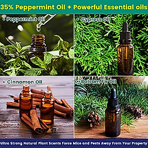 ELEGENZO Mouse Repellent Pouches with Peppermint Oil - Repels Mice, Rats, Squirrels, Roaches, Ants, Spiders, Moths 1 Count (Pack of 5)