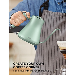 Electric Kettle, Offacy Gooseneck Kettle with 6.8mm Fine V-Shaped Spout, Auto Shut-Off & Boil Dry Protection, BPA Free, 1200 Watt Quick Heating, 0.9L, Light Green