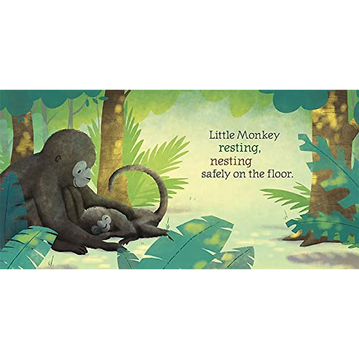 Little Monkey (Little Animal Friends)