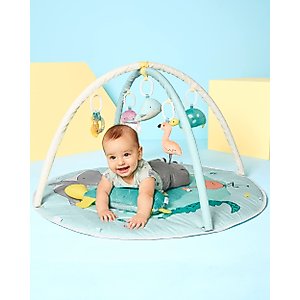 Simple Joys by Carter's Play Gym, by The Sea, One Size