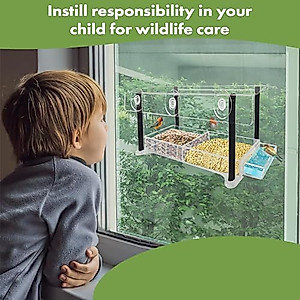 Window Bird Feeder for Outside - Squirrel and Weather Proof Clear Birdfeeder Hanger - Big Strong Suction Cups - Refill Sliding Tray - Best Birdhouse Cat Gift - Mount For Finch Cardinal Blue Jay Crow