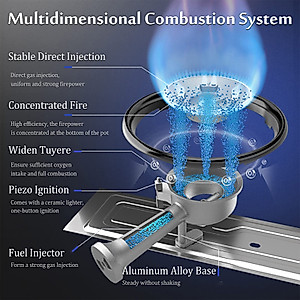 Joatocy Camping Stove with Carrying Case Portable Propane or Butane Stove Dual Fuel Gas Stove Automatic Ignition Indoor Outdoor Cooking Camp Stove for Picnics Hiking Fishing BBQ