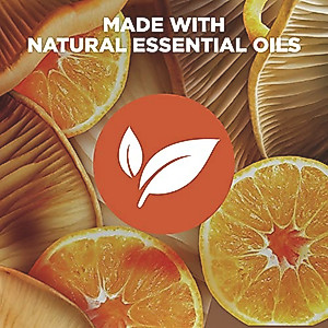 DOVE MEN + CARE Renourish Body Wash Mandarin + Maitake 4 Count With Vitamin and Mineral Complex Moisturizing Body Wash With Plant Based Ingredients 18 oz