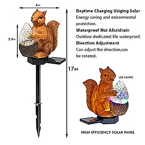 HENGYOU Garden Solar Lights Squirrel Outdoor Decor, Resin Squirrel Figure Solar LED Lights Waterproof Squirrel Garden Stake Lights for Outdoor Yard Pathway Outside Patio Lawn Decor-1Pack
