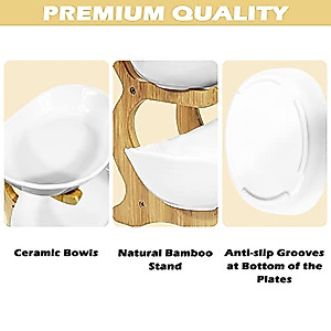 PROLEE 3 Tier/2 Tier Ceramic Fruit Bowl with Bamboo Wood Stand, Large Fruit Basket for Kitchen, Ceramic Serving Tray Set for Sushi, Dessert, Fruit,Cake, Candy (2 Tier)