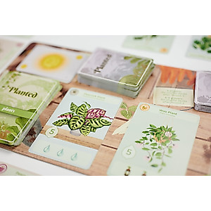 Planted Game by Phil Walker-Harding - Buffalo Games - Collect and nurture your houseplants.- Adult game night - Deck building game
