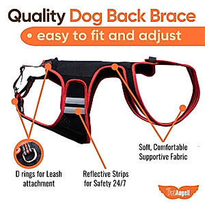 Dog Back Brace - Specialized IVDD Back Brace for Dogs, Arthritis Relief, Herniated Disc, Slipped Disc, Surgery Recovery - Dog Spine Support Harness - IVDD Dog Supplies, PetAngell - Large