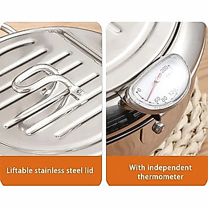 BestAlice Deep Fryer Pot, 10in(3.4L) Stainless Steel Frying Pot, Upgrade Deep Fryer Pot with Thermometer, Japanese Small Deep Frying Pot with Oil Drip Drainer Rack for French Fries Fish Chicken