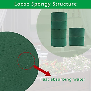 Prashent 6 Pcs Round Floral Foam Blocks,Green Wet Dry Flower Foam Plant Foam for Fresh & Artificial Flower Arrangements DIY Craft 3.2" X 1.6"