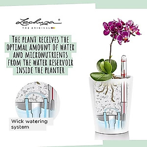 Lechuza 14900 Deltini Self-Watering Planter for Indoor and Outdoor Use, 6" x 6" x 7", White