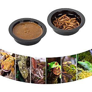 WACOOL Magnetic Reptile Ledge, Acrylic Gecko Feeding Ledge with 6PCS Cups, Reptile Food Water Feeder Dish for Geckos Iguana Chameleon Pets (Cups)