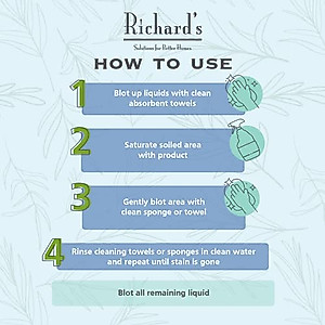 Richard’s Stain & Odor Eliminator Spray, 32 oz – Natural Stain and Pet Odor Eliminator Formula Cleans Carpet, Upholstery, Hard Floors – For Pet Stains, Crayon, Ink, Scuffs and More