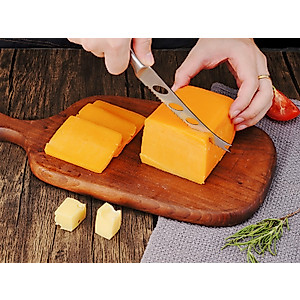 WELLSTAR Cheese Knife, Serrated Tomato Knife 5 Inch Sharp High Carbon Stainless Steel Blade for Cutting All Cheese Types – Silver