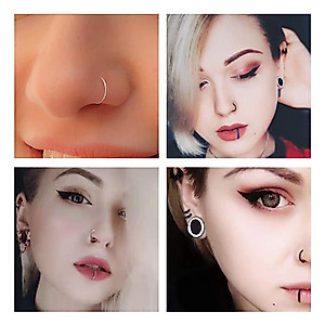 WBRWP 316L Stainless-Steel Piercing-Ring Hinged Nose-Rings-Hoop : 20G Womens and Mens Body Pierecing Ring Segment Clicker Lip Rings Cartilage Rook Earrings Diameter 8mm (each color 2 piece)