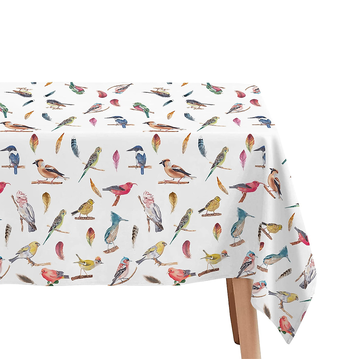 Xigejob Bird Party Tablecloth Decorations - Disposable Bird Birthday Party Supplies Table Cover, Colorful Birds Feather Bridal Baby Shower Summer Tea Party Table Cloth - 4 Pack (54in x 108in)