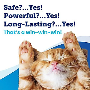 Apply Guard Professional Strength Pet Stain And Odor Eliminator for Dogs, Cats, and All Pets- Instantly Neutralize and Sanitize Tough Pet Odors and Pet Urine Stains 16oz. Cat Pee Odor Destroyer.
