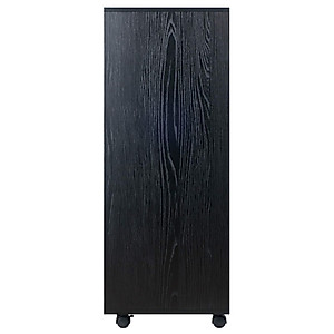 Contemporary Home Living 41.25" Black Elegant Halifax Rectangular Expanded Cabinet with 5 Pull-Out Drawers