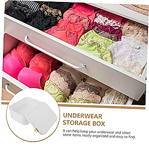 Cabilock 1pc Underwear Storage Box Belt Plastic Container Plastic Compartment Organizer Box Desk Drawer Containers with Lids Bra Compartment Organizer Closet Underwear Organizer Socks Case