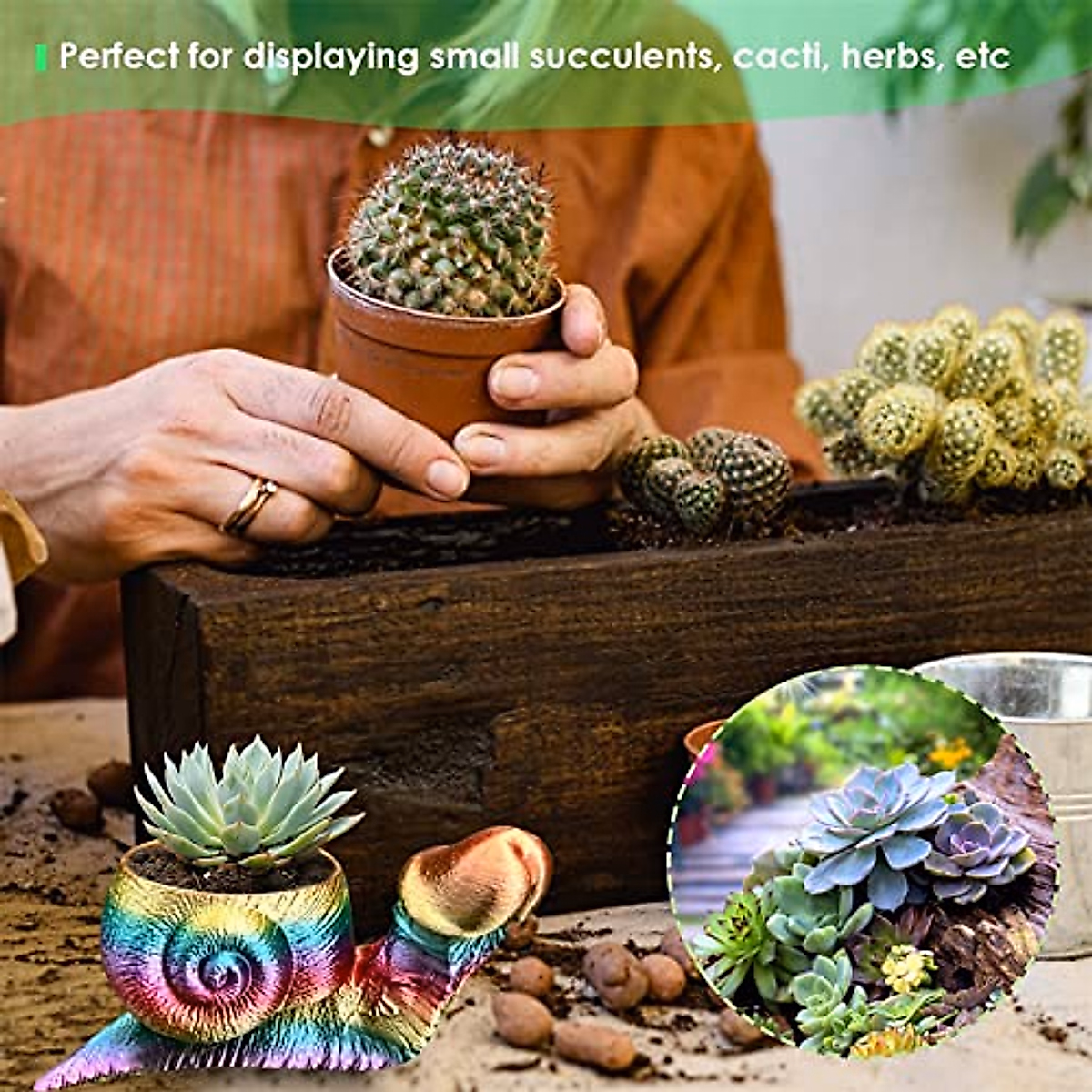 KEEP HOTTER Turtle Planter，Penis Planter，Turtle Planters for Outdoor Plants，Funny Planter，Penis Decor for Succulent Plants，Plant Pots for Fun Planting Experience for Home Office Desk Mini Ornament