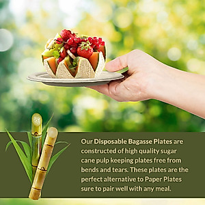 Reli. Compostable Paper Plates, 7 Inch (150 Pack Bulk) | Brown Disposable Plates 7" | Heavy Duty Paper, Eco Friendly | Made of Sugarcane Fibers/Bagasse - Biodegradable (Natural), Small