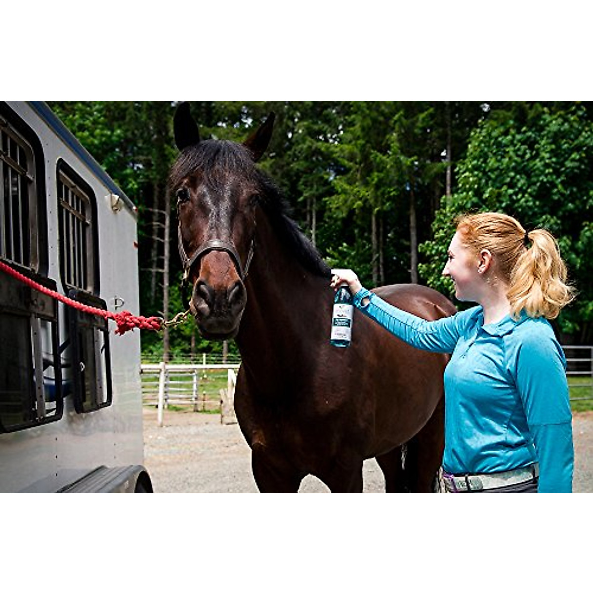 ECOVET Horse Fly Spray Repellent/Insecticide (Made with Food Grade Fatty acids), 18 oz