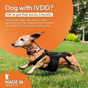 Dog Back Brace for IVDD - Orthopedic Support Back Brace for Dogs - Herniated & Slipped Disc, Pre & Post-Surgical Spinal Support - Made in USA