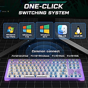 AULA Mechanical Gaming Keyboard, Wireless RGB Gaming Keyboard with Transparent keycaps, Support Hot Swappable and Programmable Macro Functionality, 2.4G & BT5.0 & USB-C, Blue Switch