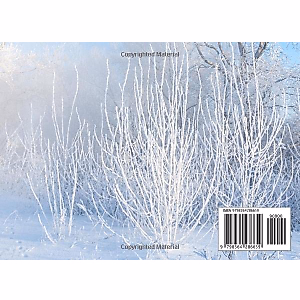 Stocking Stuffers for Women: Sudoku Puzzles : Winter Activity Book for Adults (Womens Stocking Stuffers)