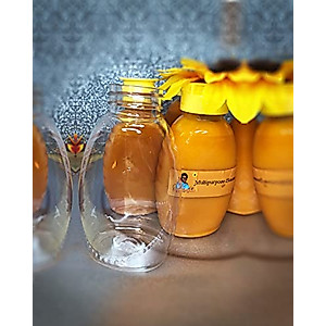 Skywin Honey Jar - Clear Plastic Squeeze Honey Bottles and Honey Container Dispenser with Flip Lid and Seal (10, 32oz)