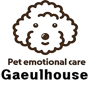 Gaeulhouse Tiny Small and Medium Dog Toothbrush Made in Korea Toothbrush Bristles That are Soft and Do Not Irritate Your Dog’s Gums Small Toothbrush Grip and Excellent Tartar Removal (4pcs)