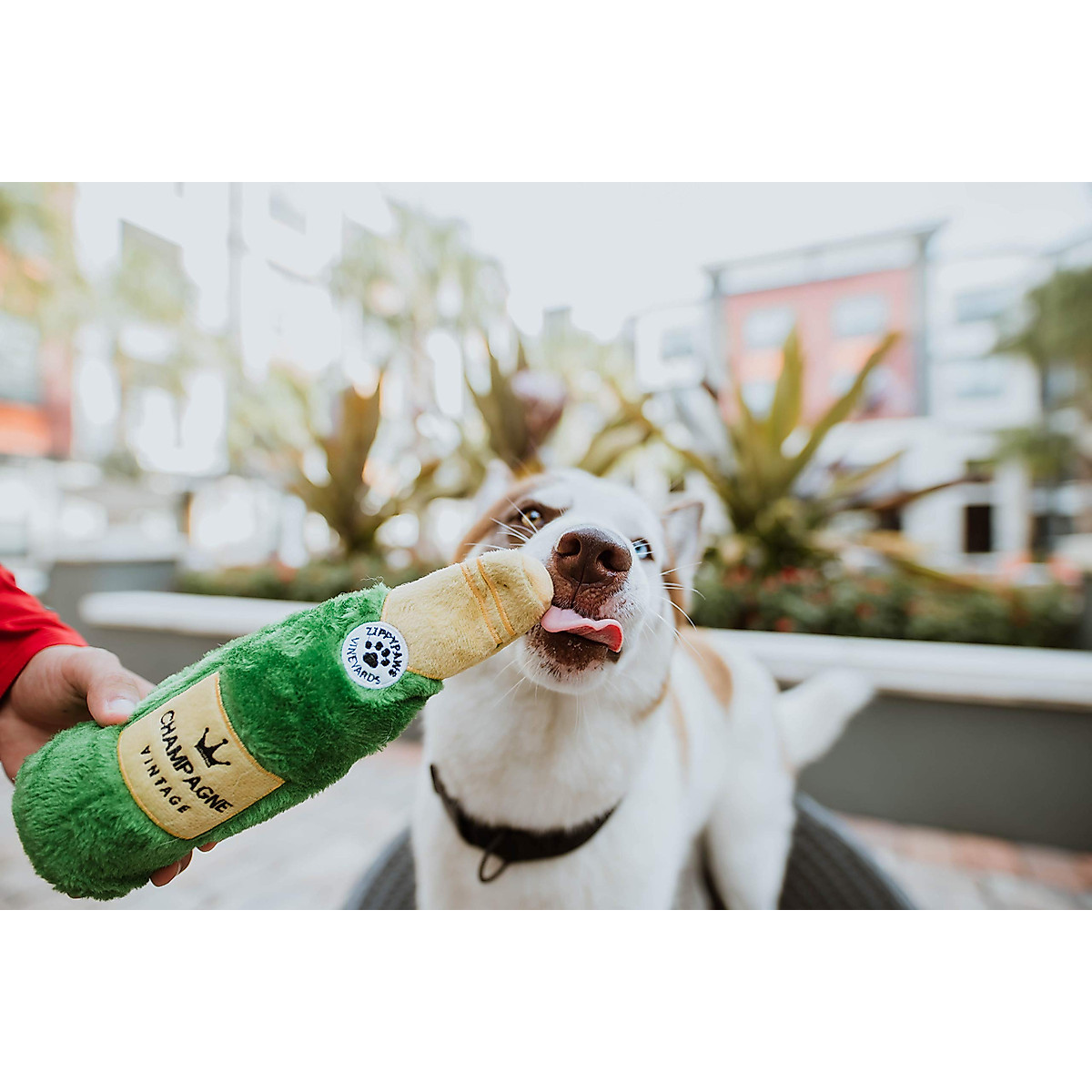 ZippyPaws Happy Hour Crusherz - Zippy Paws Dog Toy for Large and Small Dogs, Crinkle Dog Toy with No Stuffing, Squeaky Dog Toy Pack of 1, Champagne