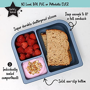 PrimaStella Unbreakable Silicone Lunch Box for Kids and Adults - Divided Bento Box (Slate Blue)