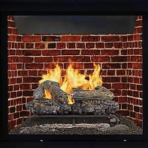 Pleasant Hearth VFL-VO24DR 24" Valley Oak Series Vent Free Gas Set 33,000 BTU's, 24 inch Log, No Color