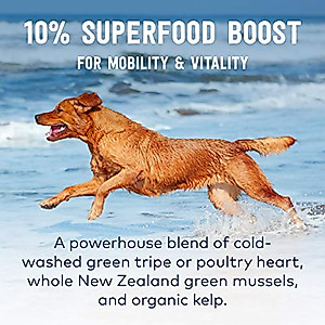 ZIWI Peak Good Dog Rewards Training Treats – All Natural, Grain-Free, Healthy Dog Treats (Lamb, 3oz)