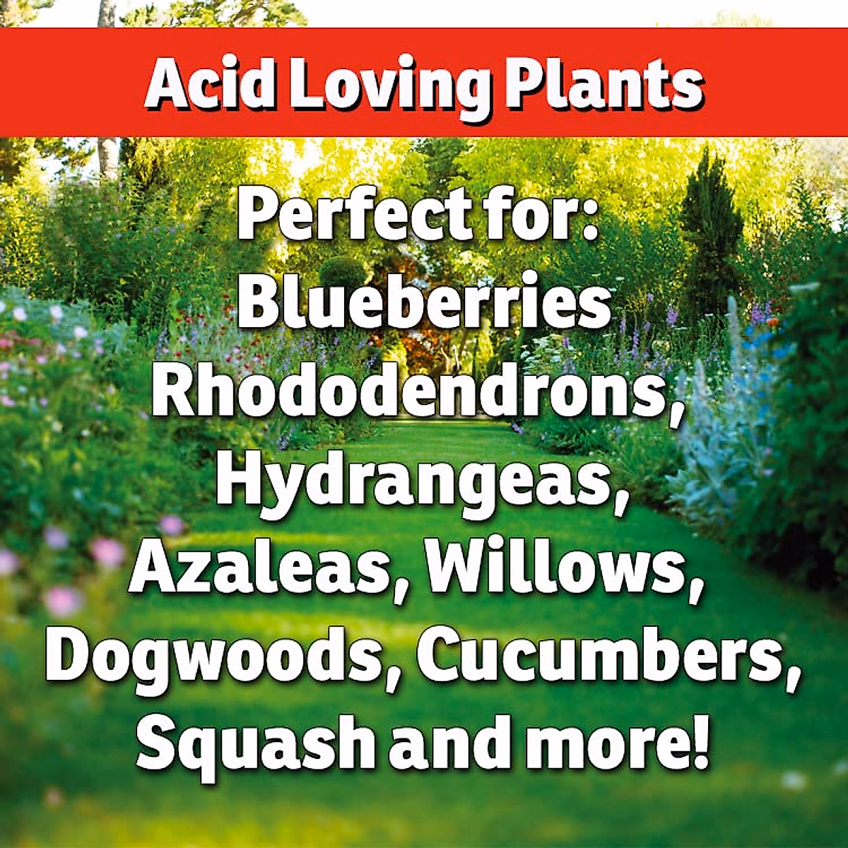 I Must Garden Soil Sulfur Pellets: Organic Soil Acidifier | Naturally Promotes Lush Growth – 5lb Shaker Jar