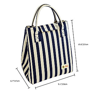 Tote Bento Lunch Bag Insulated Lunch Cooler for Kids Girls Women Stylish Waterproof (Light Grey)