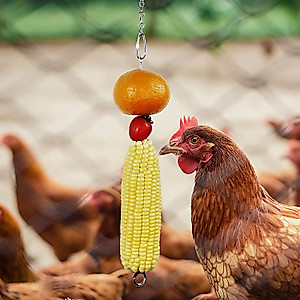 Upgraded Extended Hanging Feeder, Chicken Vegetable Hanging Feeder Toy,Chicken Vegetable String Bag Poultry Fruit Holder Chicken Cabbage Feeder Treat Feeding Tool,Chicken Veggies Skewer (Packag1)