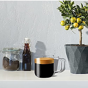 Aquach Glass Mugs 16 oz Set of 2, Large Clear Glass Cup with Handle for Hot/Cold Coffee Tea Beverage, Thicker Quality