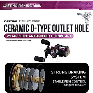 Baitcasting Fishing Reel,Compact Design Metal Body Baitcaster Reel,11LB Drag,20-Speed Magnetic Braking System,Available in 6.5:1 and 8.1:1Conventional Reel for Catfish, Musky (B: Left Hand-8.1:1)