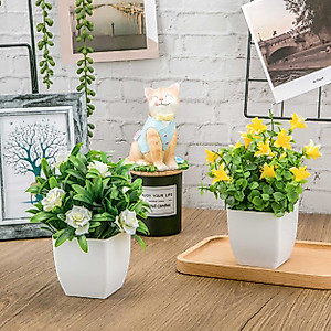 Der Rose 2 Pack Fake Plants Mini Artificial Faux Plants with Flowers for Home Office Table Room Farmhouse Decor Indoor