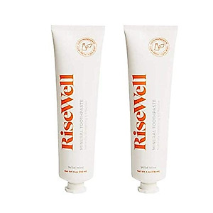 Japanese Style Toothpaste, RiseWell, Natural