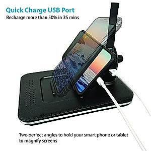 MagniPros 3X Magnifying Glass with Light and Stand, Flexible Gooseneck Magnifying Desk Lamp w/USB Fast Charge & Tablet Stands for Reading Fine Print, Painting, Sewing, Crafts & Close Work