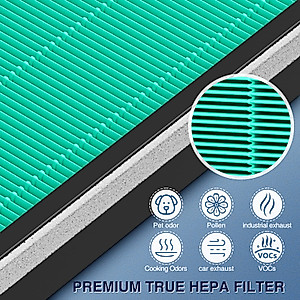 2 Pack 250/250S Replacement Filters for Coway AIRMEGA Max2 250 250S Smart Air Purifier, Max 2 Green True HEPA and Activated Carbon Filter Set, AP-1720-FP