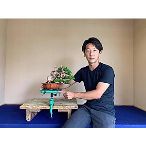 Pollice Verde Green T Mini V - Professional Bonsai Shoin Turntable with clamp